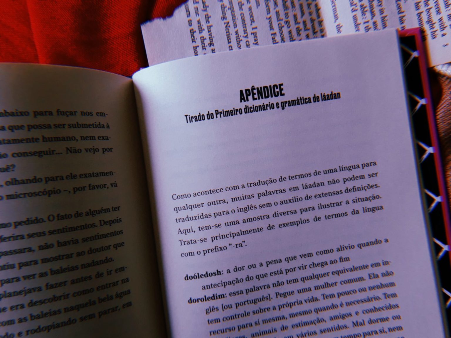 Língua nativa: nomeando as inomináveis trajetórias femininas